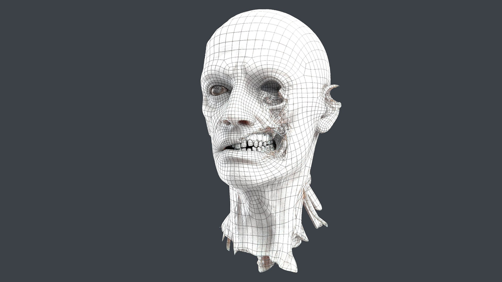 Severed Head 3D Model - TurboSquid 1937912