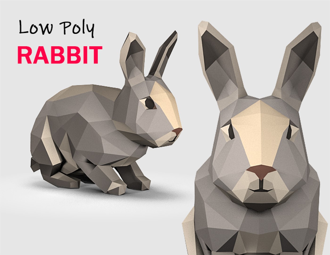 Animations polys 3D - TurboSquid 1552987