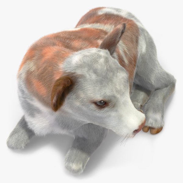 Cow 3D Models for Download | TurboSquid