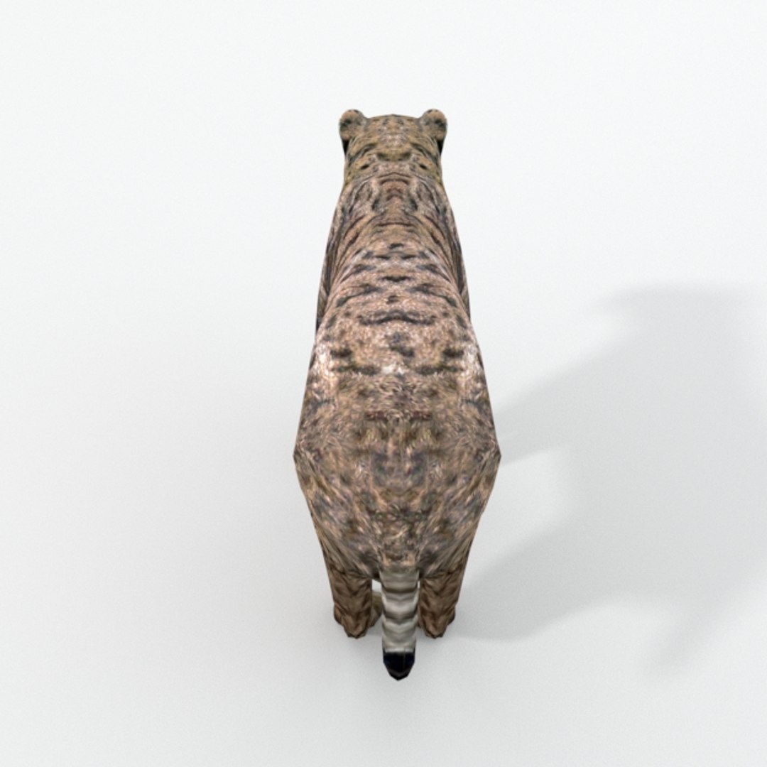 3D Saber-toothed Tiger Model - TurboSquid 1400288