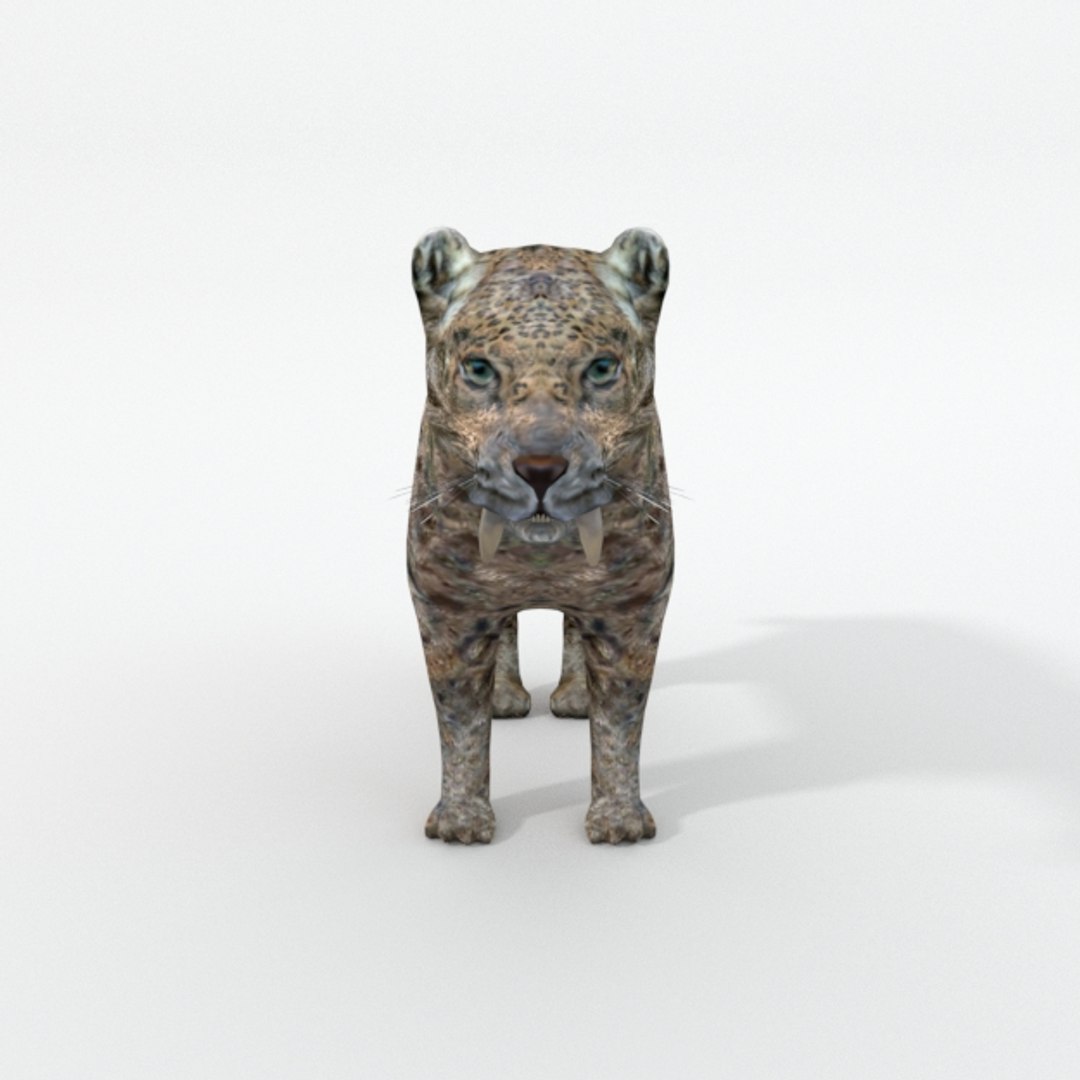 3D Saber-toothed Tiger Model - TurboSquid 1400288