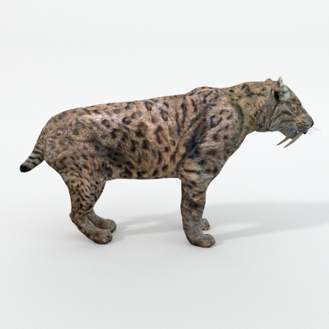 3D Saber-toothed Tiger Model - TurboSquid 1400288