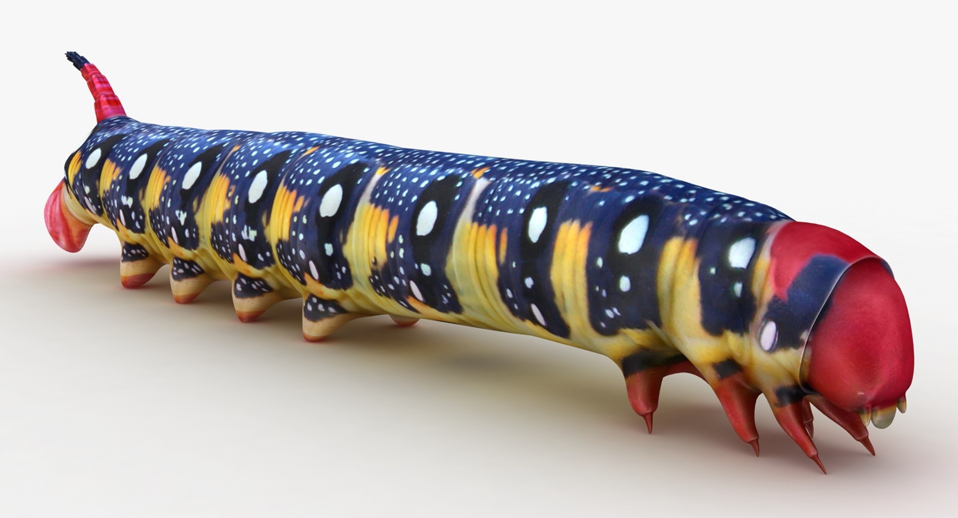 3D model realistic insect - TurboSquid 1400008