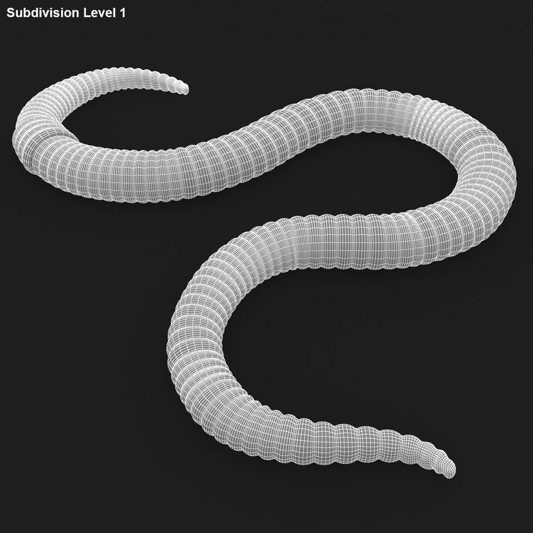 3D model realistic insect - TurboSquid 1400008
