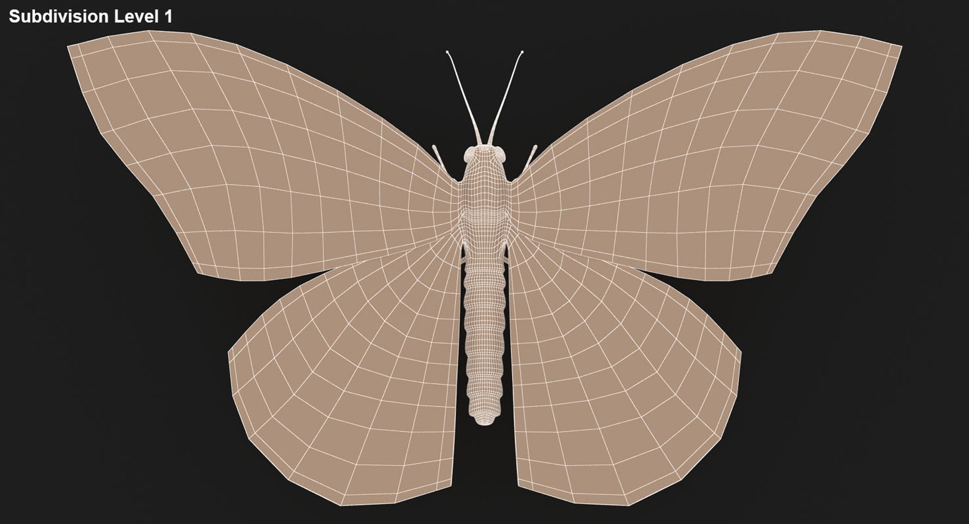 3D model realistic insect - TurboSquid 1400008