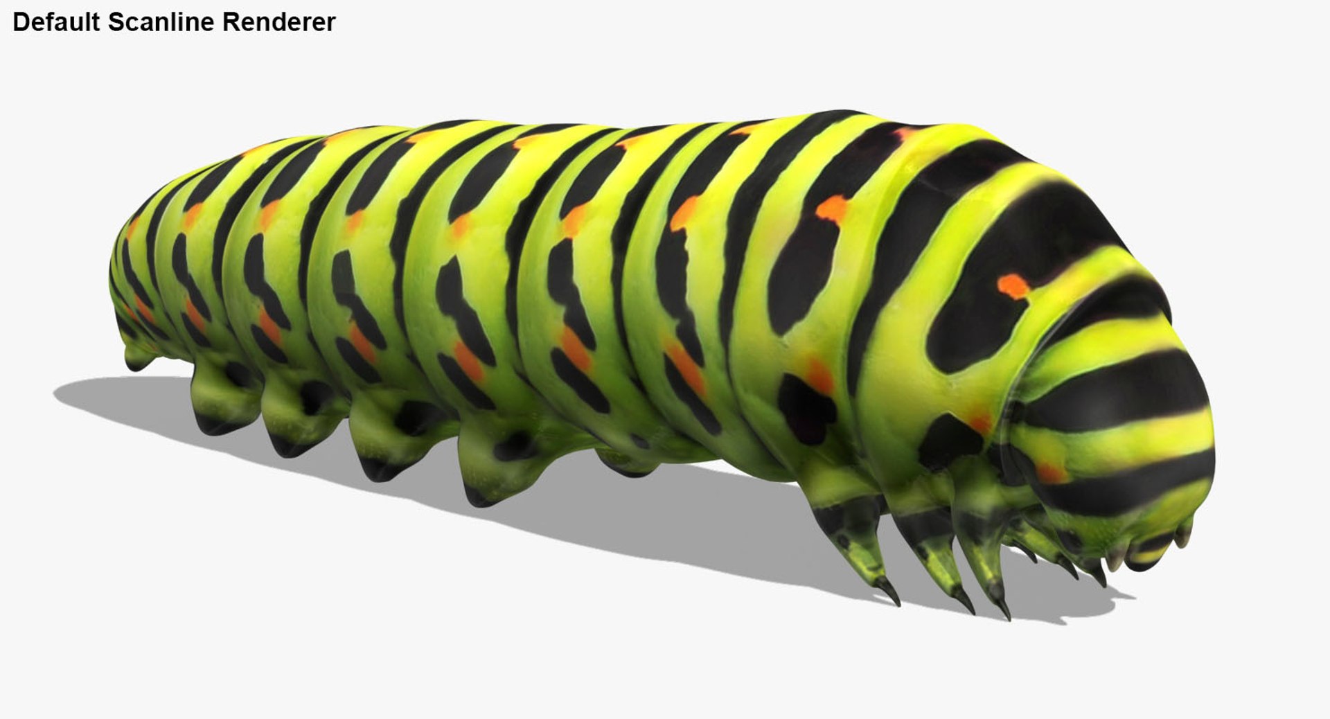 3D model realistic insect - TurboSquid 1400008