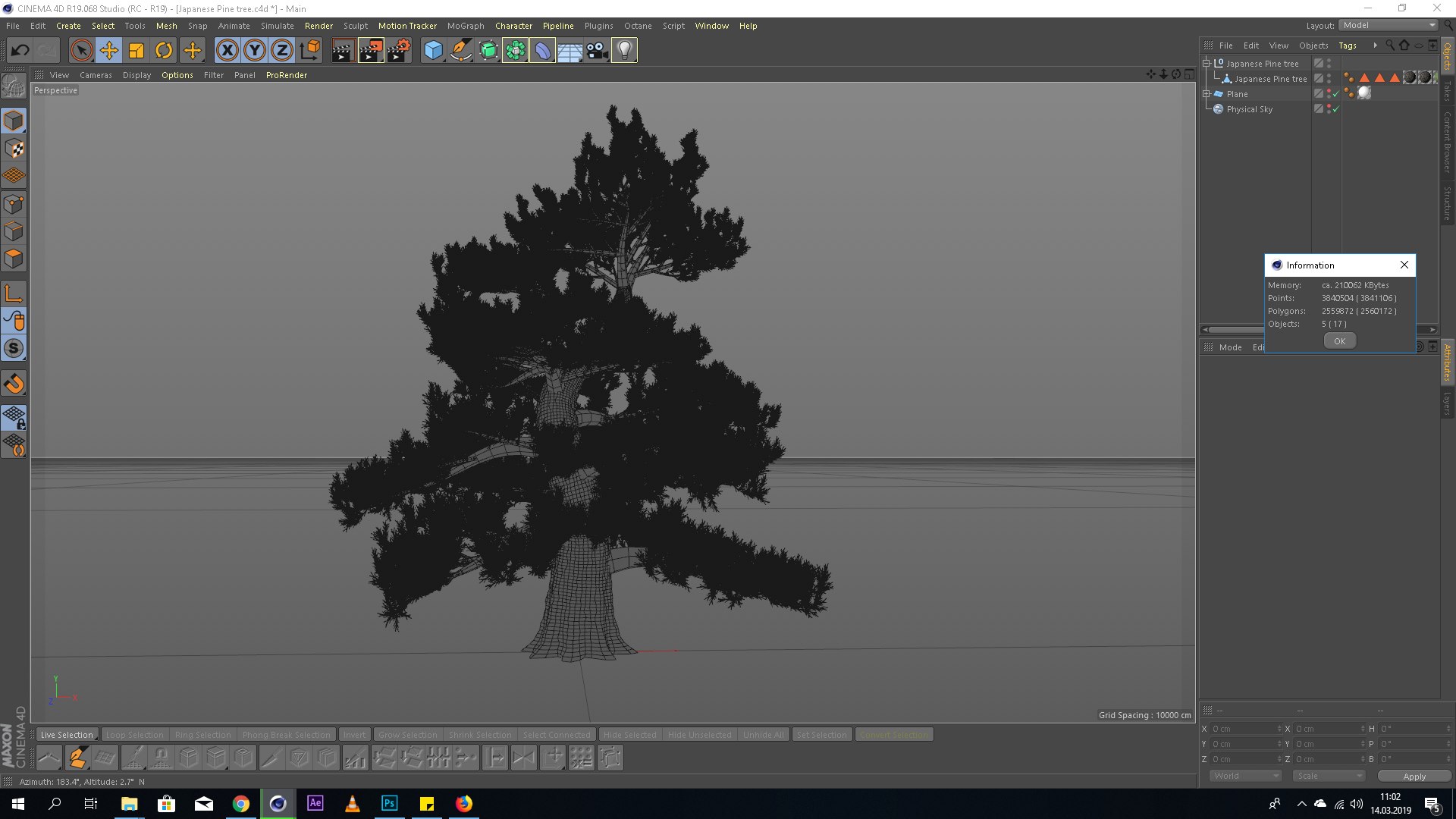 3D Model Japanese Pine Tree - TurboSquid 1386958