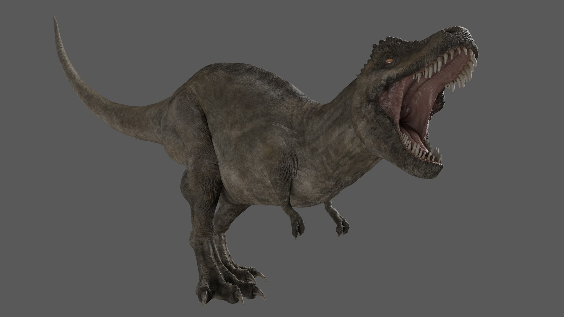 3D Rigged Tyrannosaurus Rex T-rex Animation Model - TurboSquid 1534431