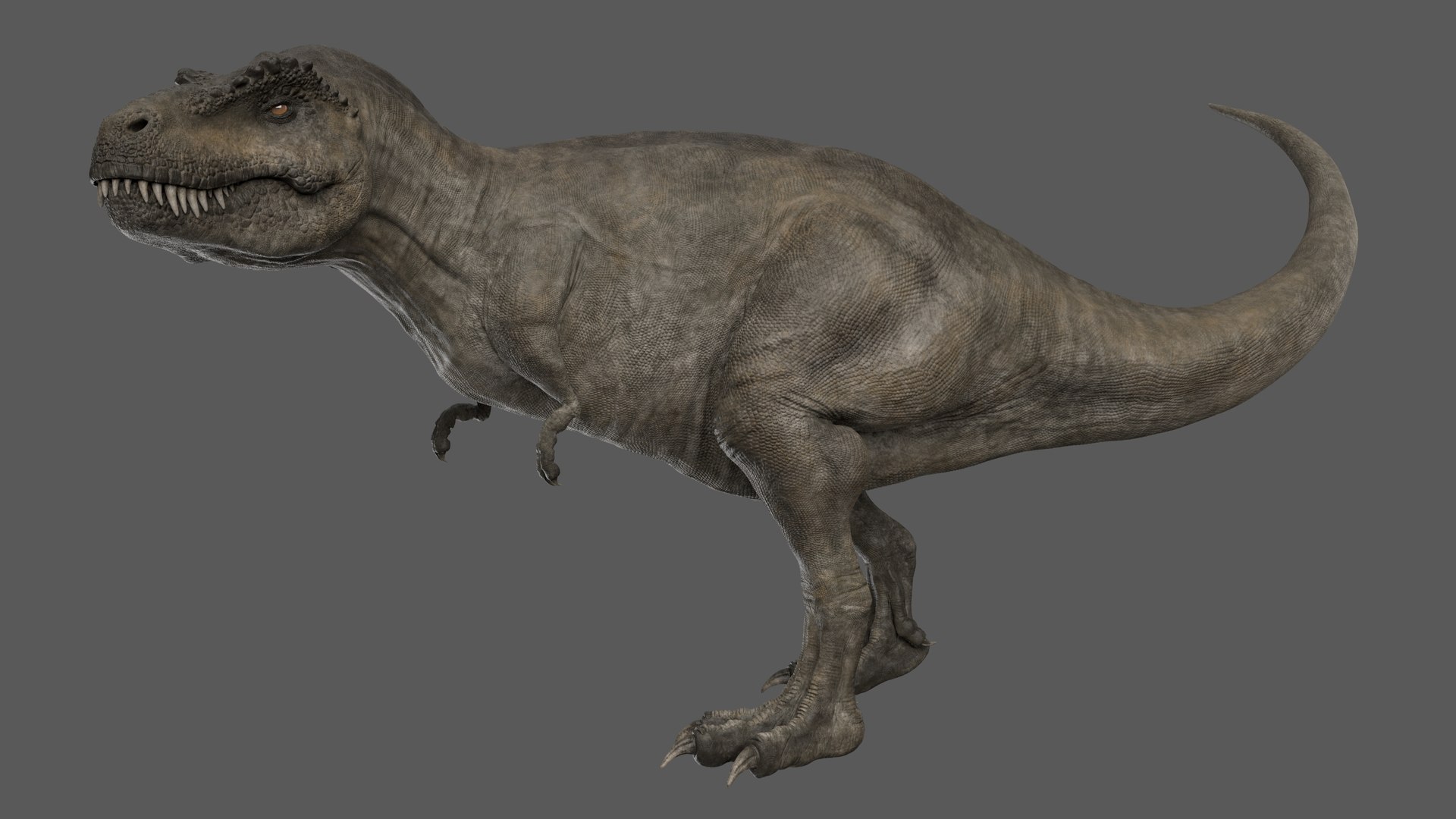 3D Rigged Tyrannosaurus Rex T-rex Animation Model - TurboSquid 1534431