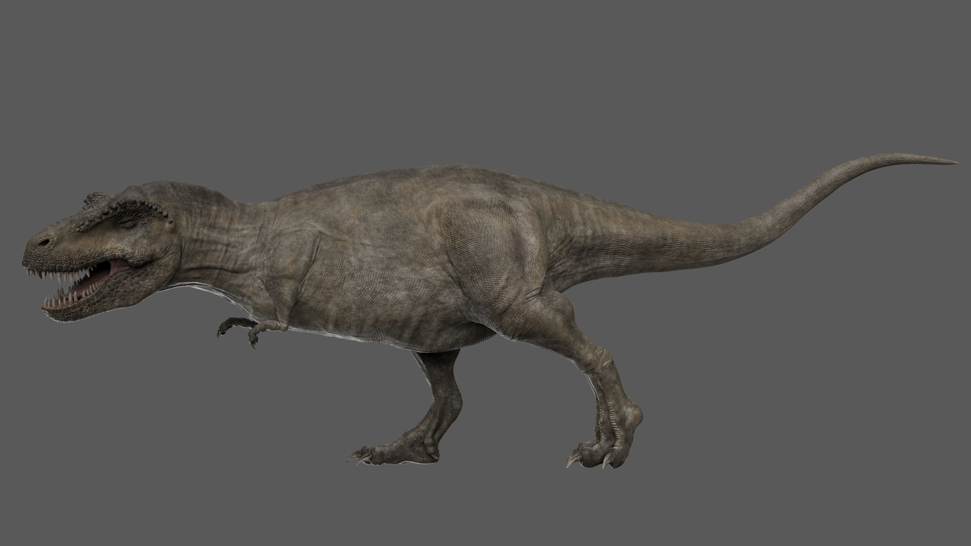 3D Rigged Tyrannosaurus Rex T-rex Animation Model - TurboSquid 1534431