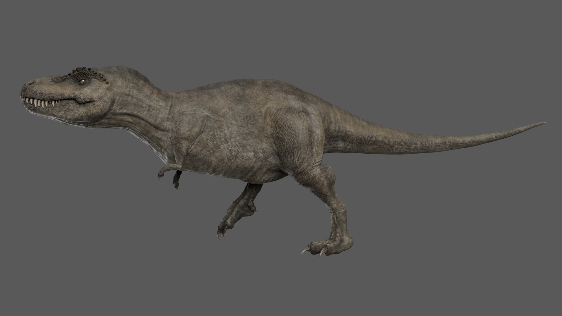 3D Rigged Tyrannosaurus Rex T-rex Animation Model - TurboSquid 1534431
