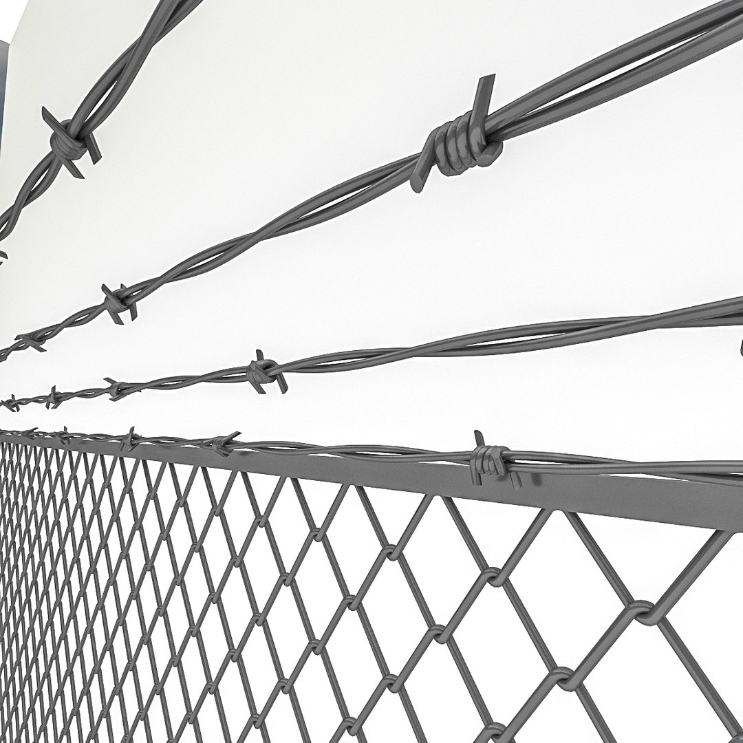 Wire Netting 3D Model - TurboSquid 1416416