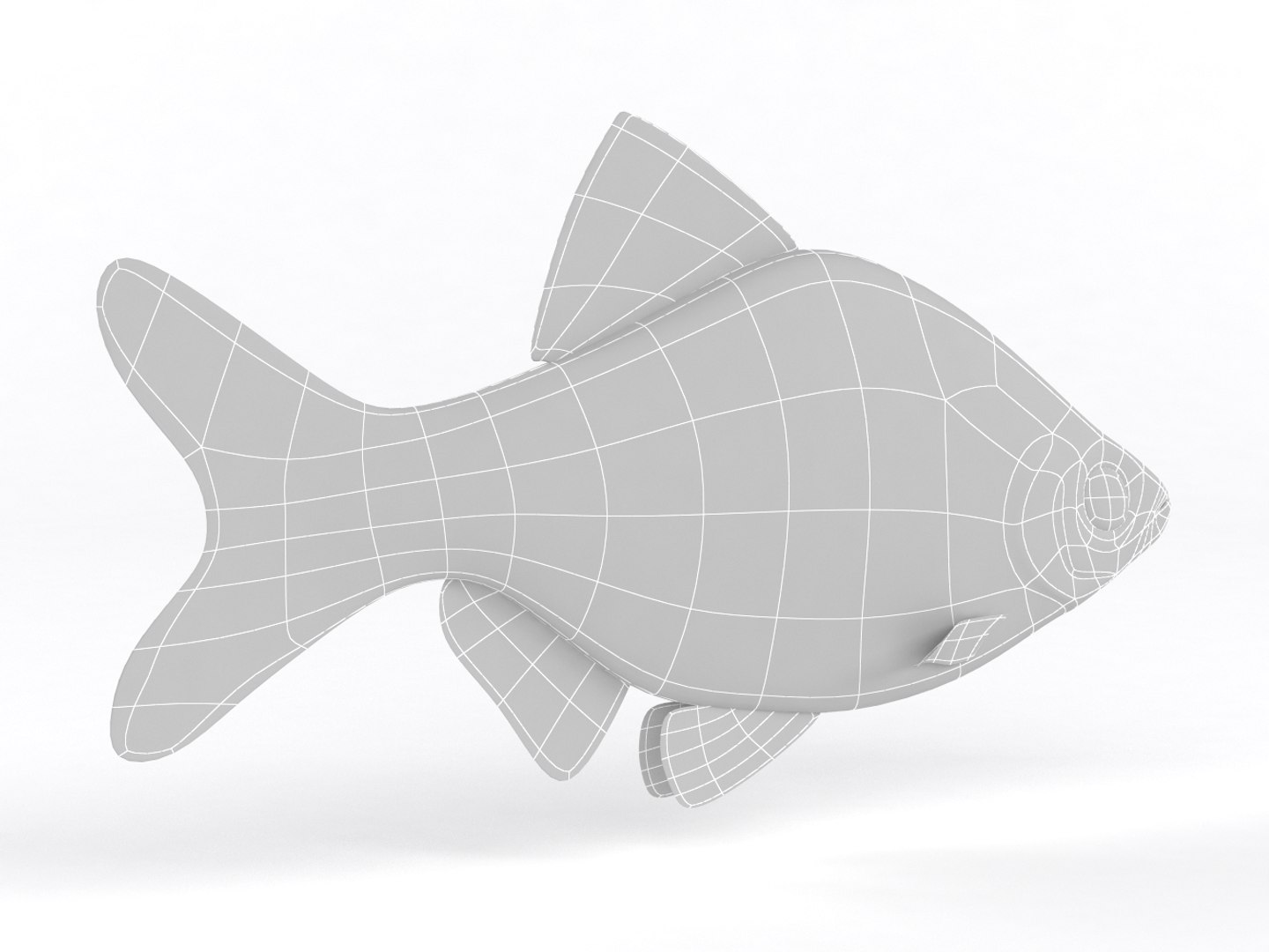 3D Tiger Barb Fish Model - TurboSquid 1447546