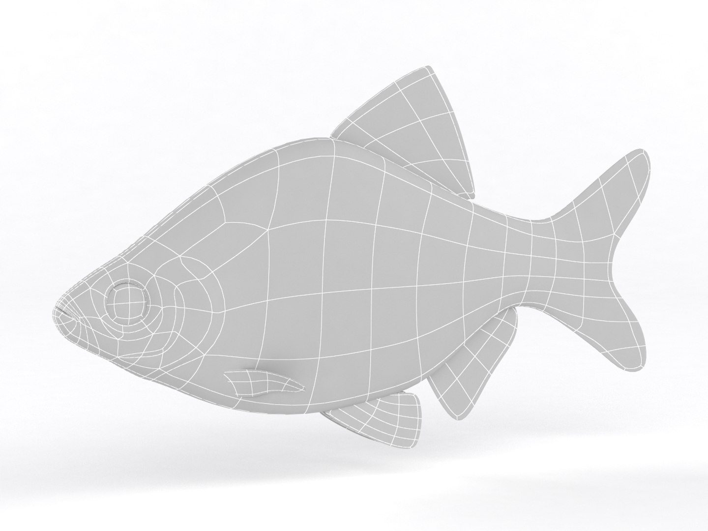 3D Tiger Barb Fish Model - TurboSquid 1447546