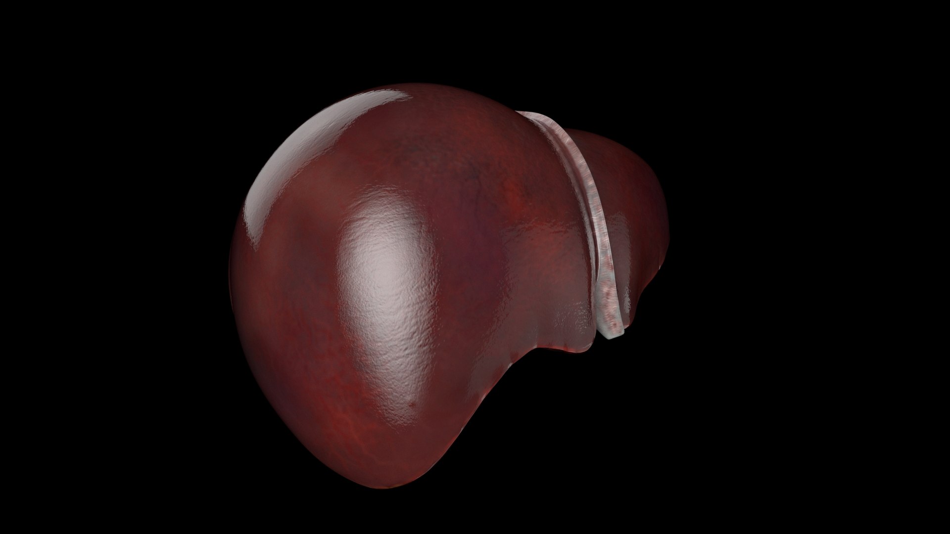 3D Model Liver Damaging Stages Animation - TurboSquid 1737157