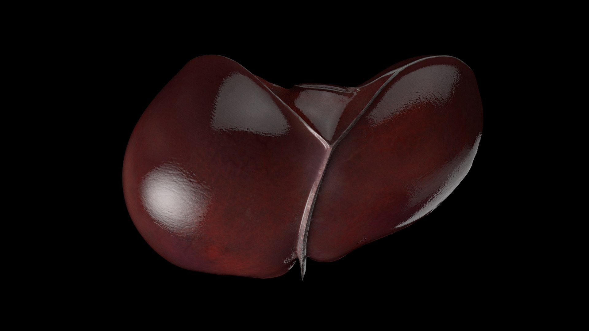 3D Model Liver Damaging Stages Animation - TurboSquid 1737157