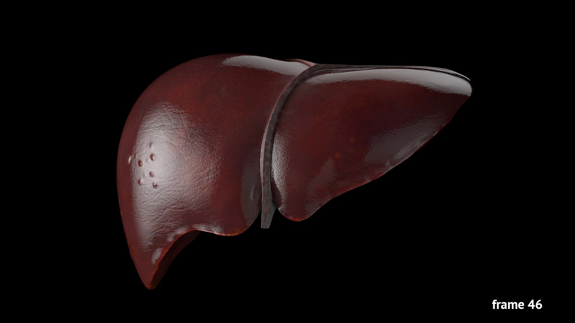 3D model Liver damaging stages animation - TurboSquid 1737157