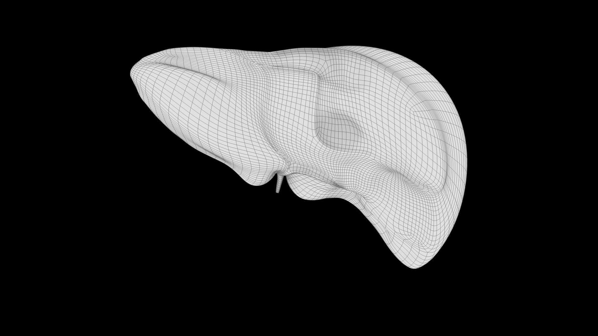 3D model Liver damaging stages animation - TurboSquid 1737157