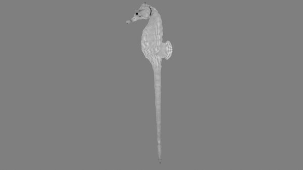 3D Pacific Seahorse Rigged Animated - TurboSquid 2033112