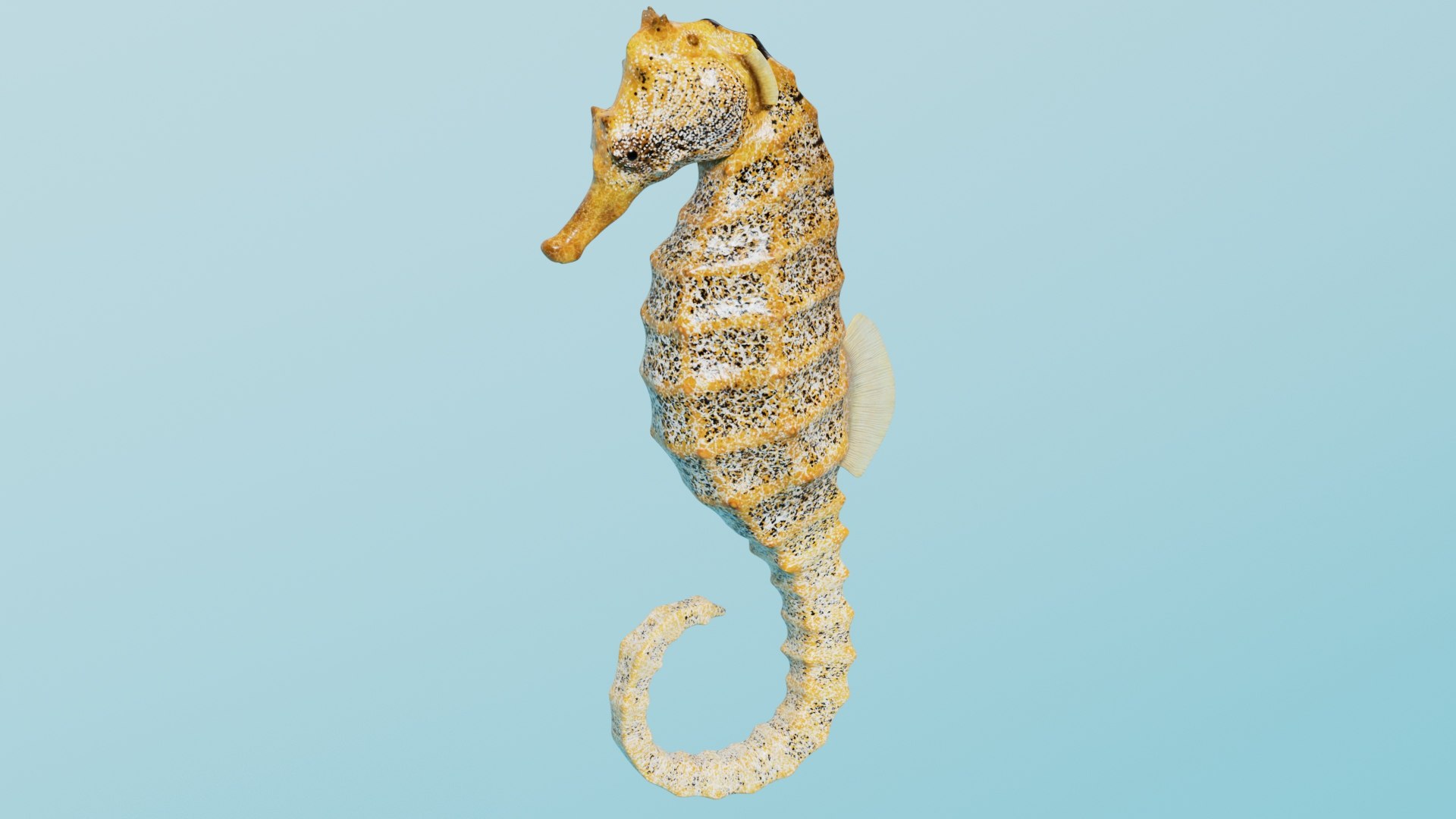 modelo 3d Pacific Seahorse Rigged Animated - TurboSquid 2033112