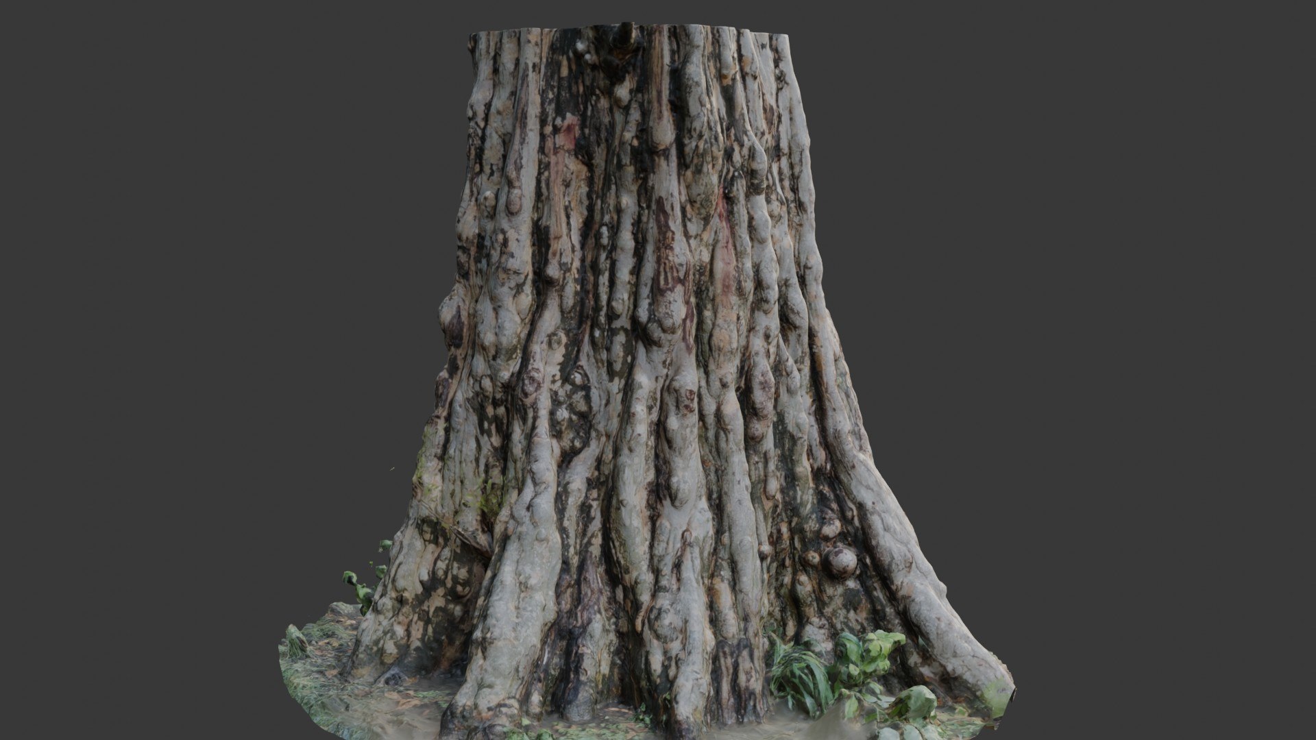 Ancient Tree Stump 3D Scan 3D Model - TurboSquid 2395495
