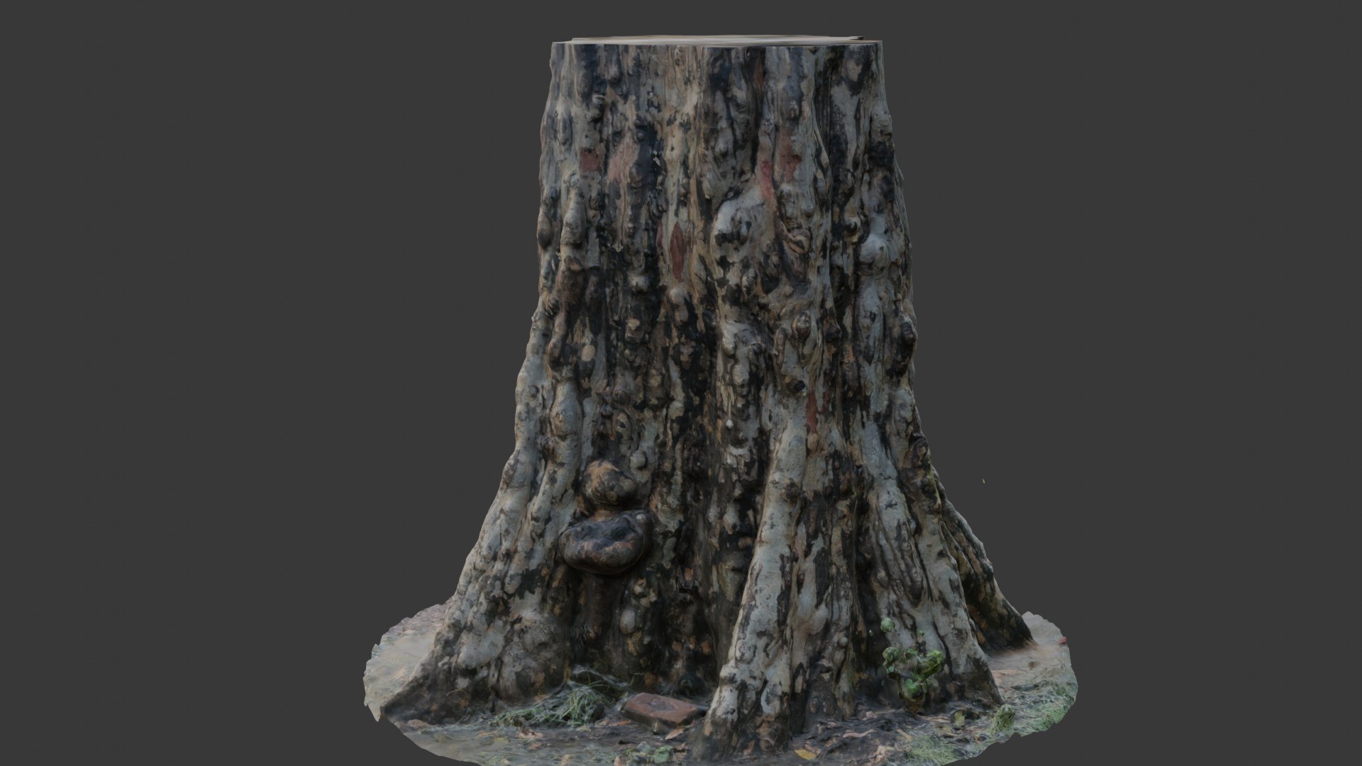 Ancient Tree Stump 3D Scan 3D Model - TurboSquid 2395495