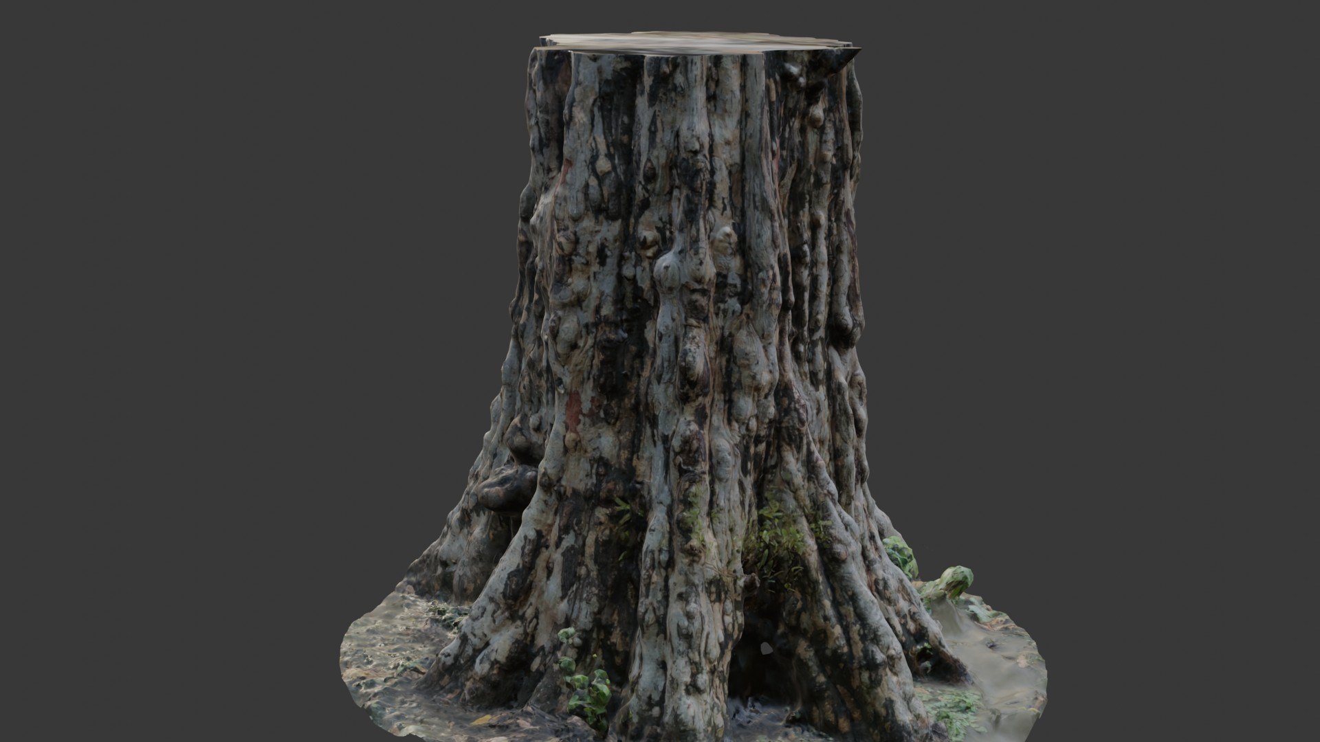 Ancient Tree Stump 3D Scan 3D Model - TurboSquid 2395495