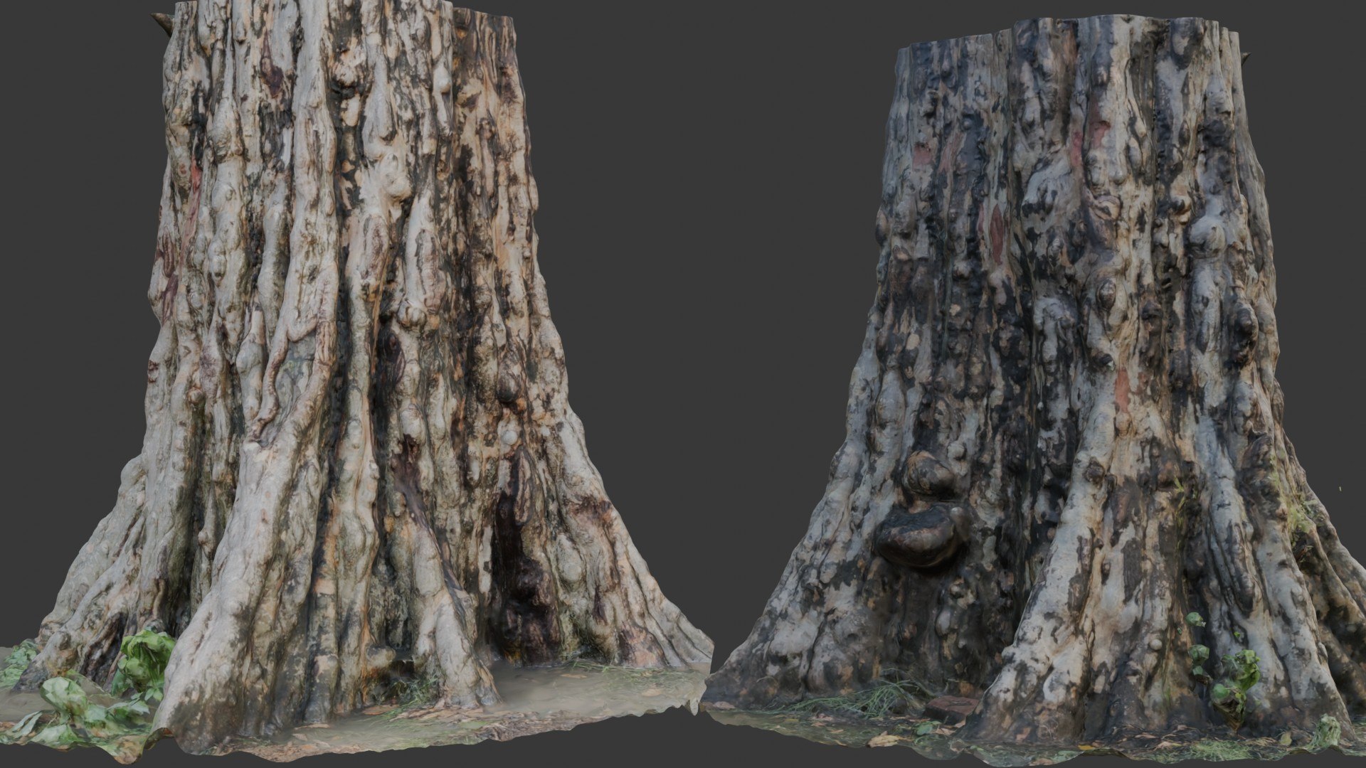 Ancient Tree Stump 3D Scan 3D Model - TurboSquid 2395495