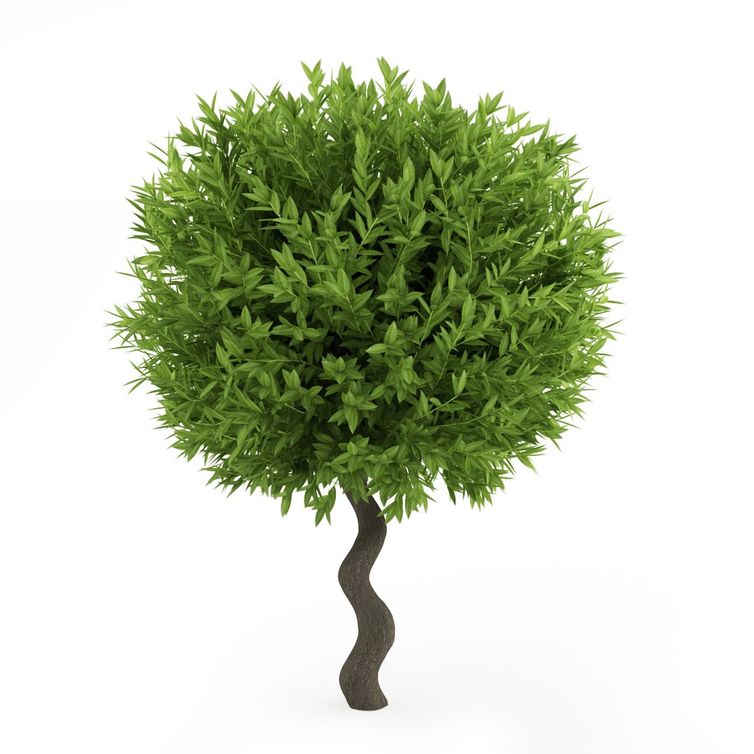 3d Plant Tree Model