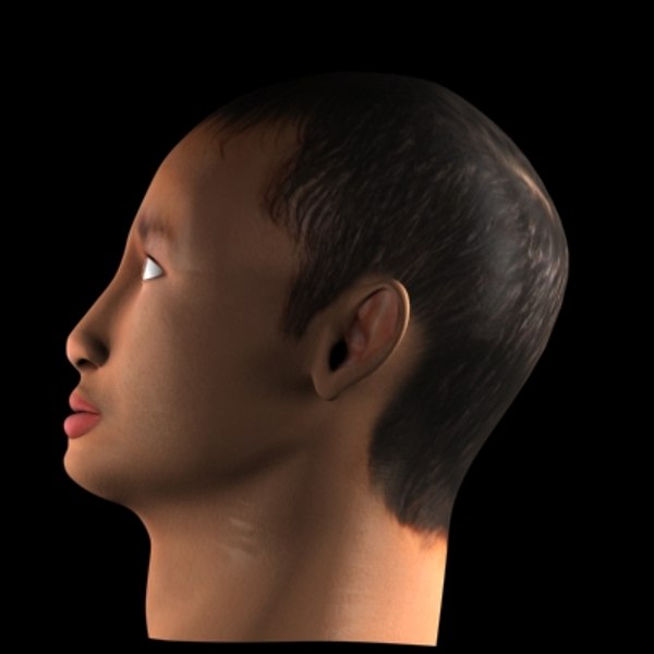 free max model heads 3heads