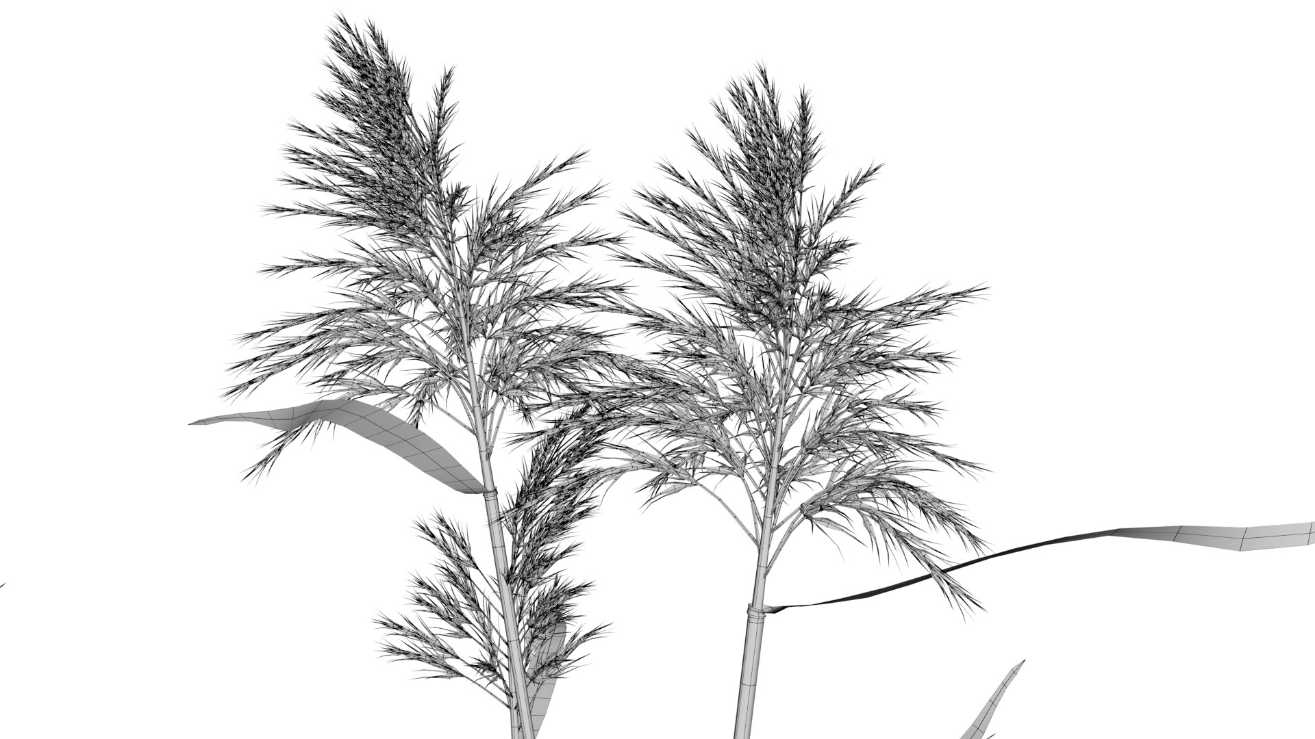 Nature Plants Grass 3D Model - TurboSquid 1655232