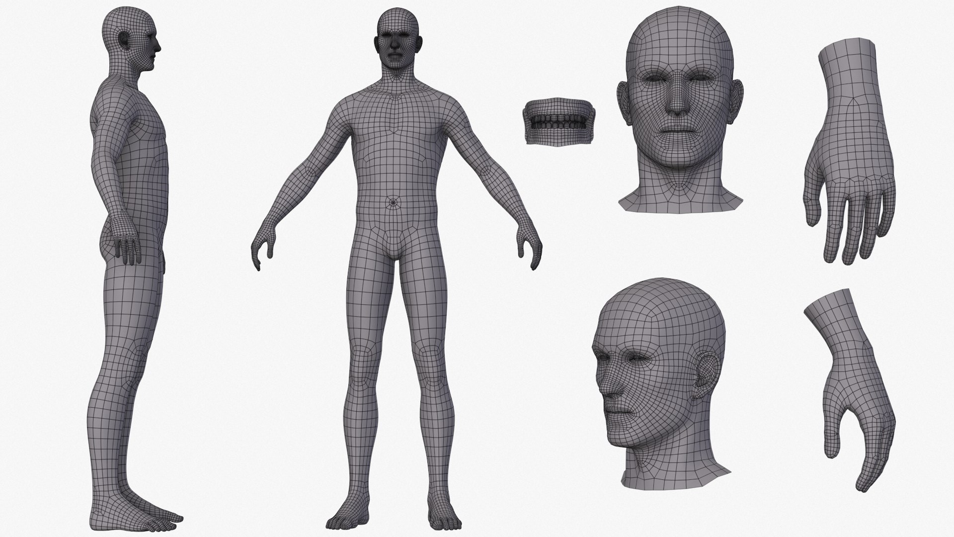 3D Male Body Base Mesh - TurboSquid 2319684