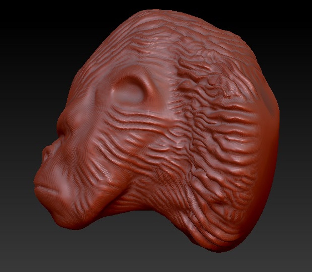 3d Gorilla Head Model