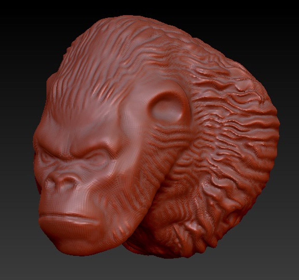 3d Gorilla Head Model