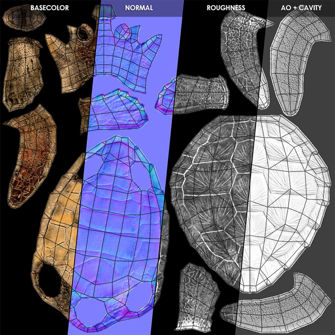 Sea Turtle - PBR Game Ready Model - TurboSquid 1891378