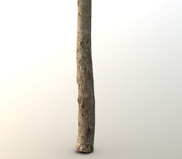 3D tree apple trunk - TurboSquid 1602996