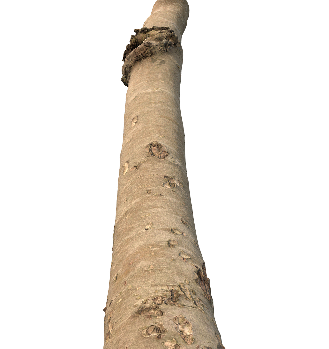 3D tree apple trunk - TurboSquid 1602996