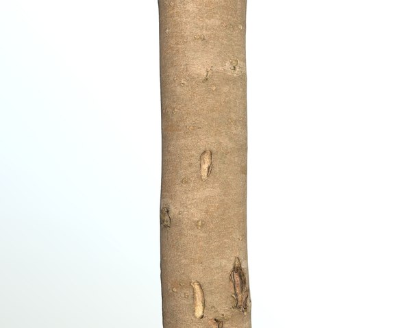 3D tree apple trunk - TurboSquid 1602996