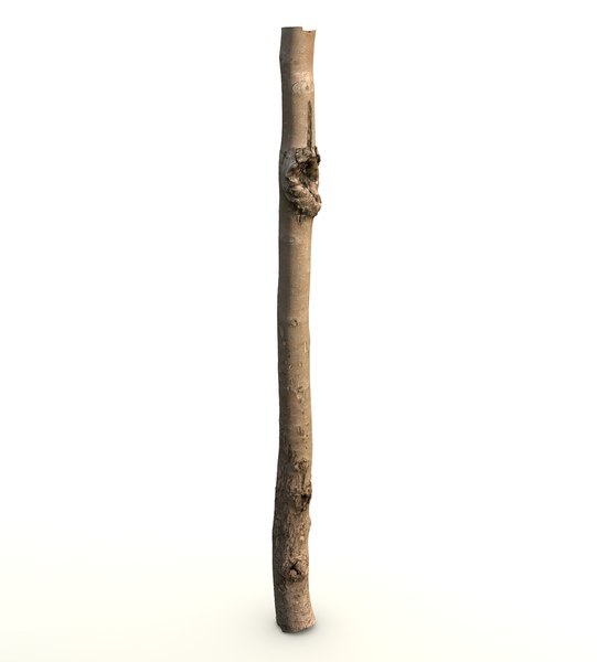3D tree apple trunk - TurboSquid 1602996