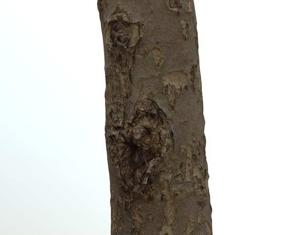3D tree apple trunk - TurboSquid 1602996