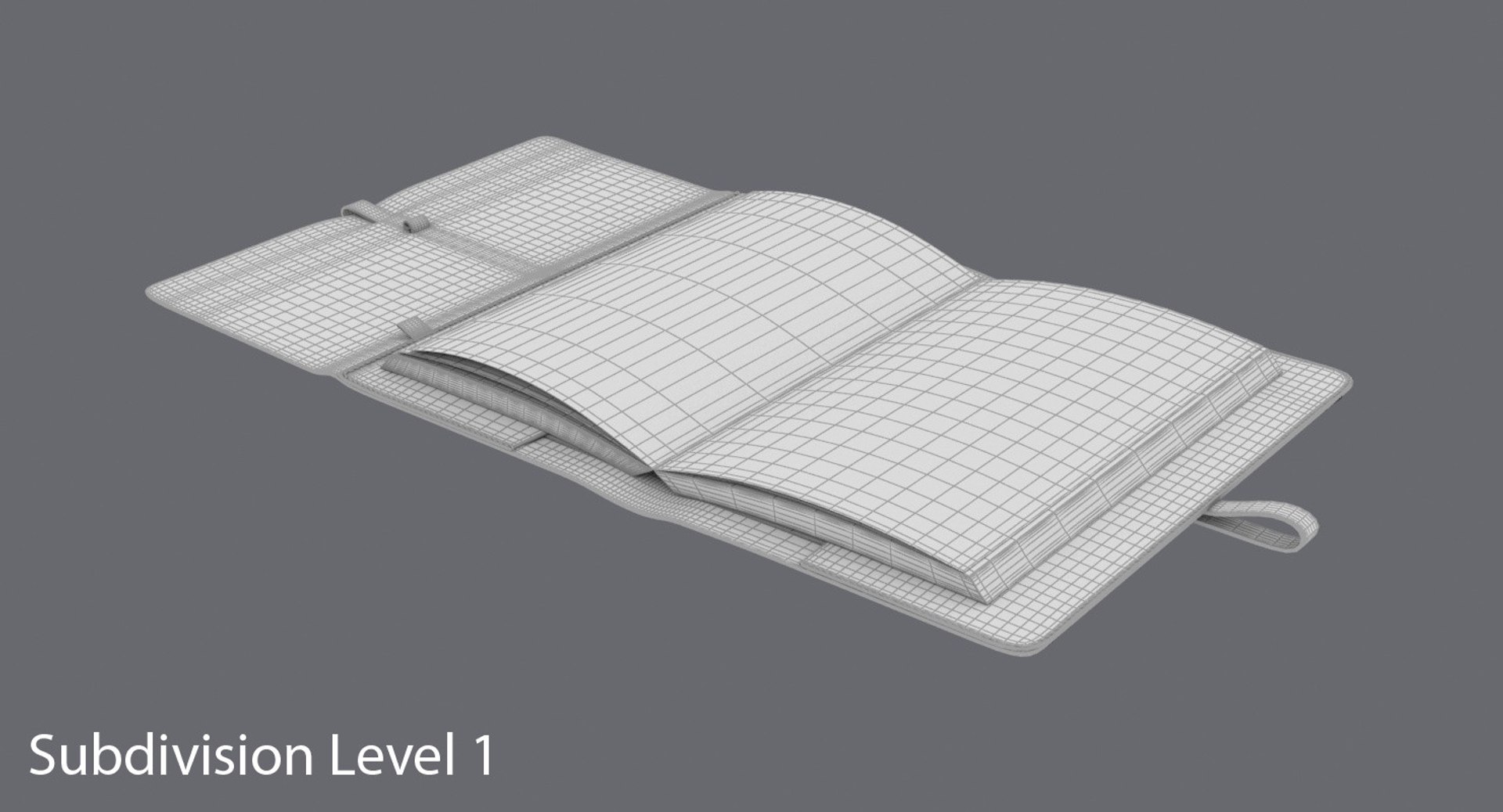 journal 02 opened max