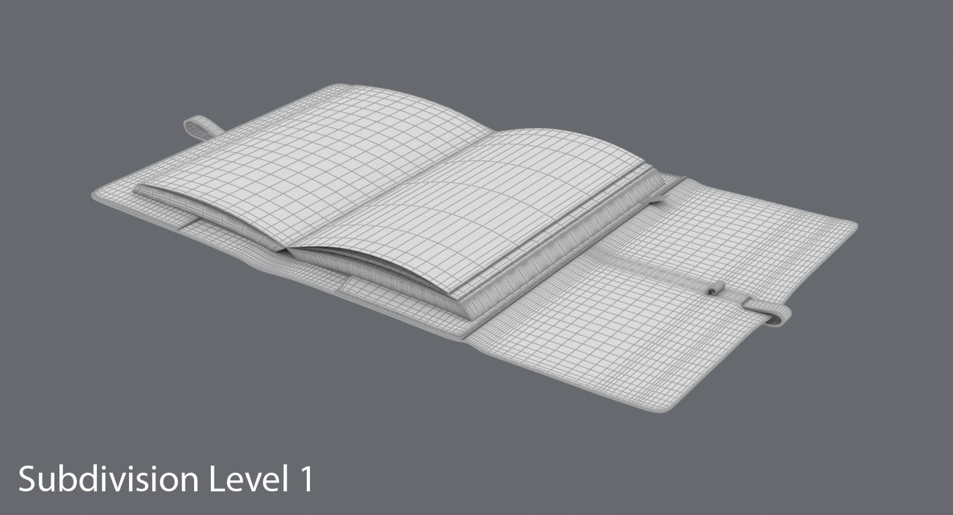 journal 02 opened max