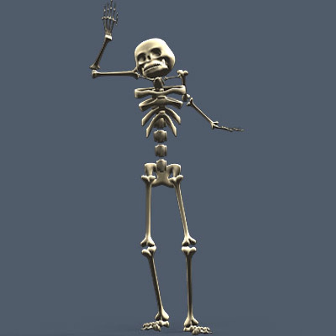 Maya Rigged Cartoon Sceleton