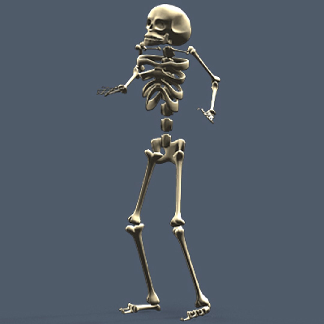 Maya Rigged Cartoon Sceleton