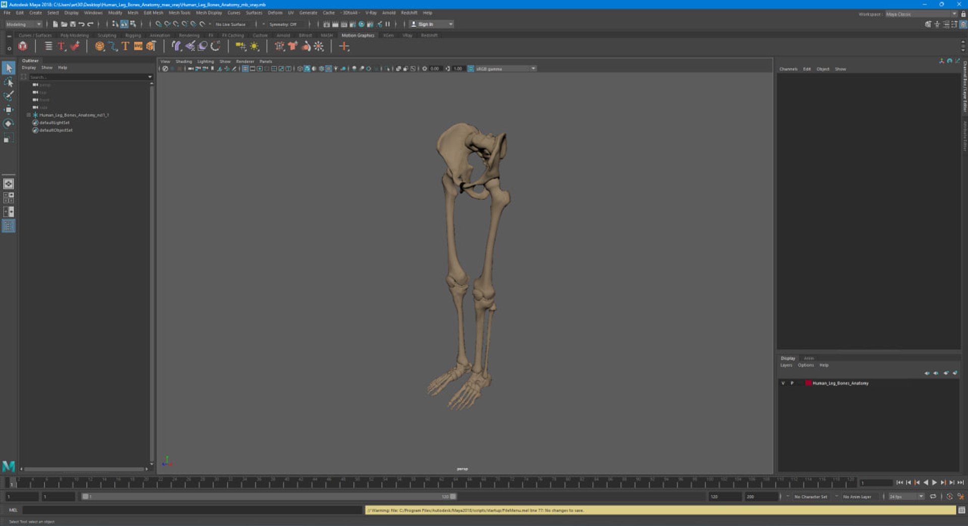 Human Leg Bones Anatomy Model - TurboSquid 2386677