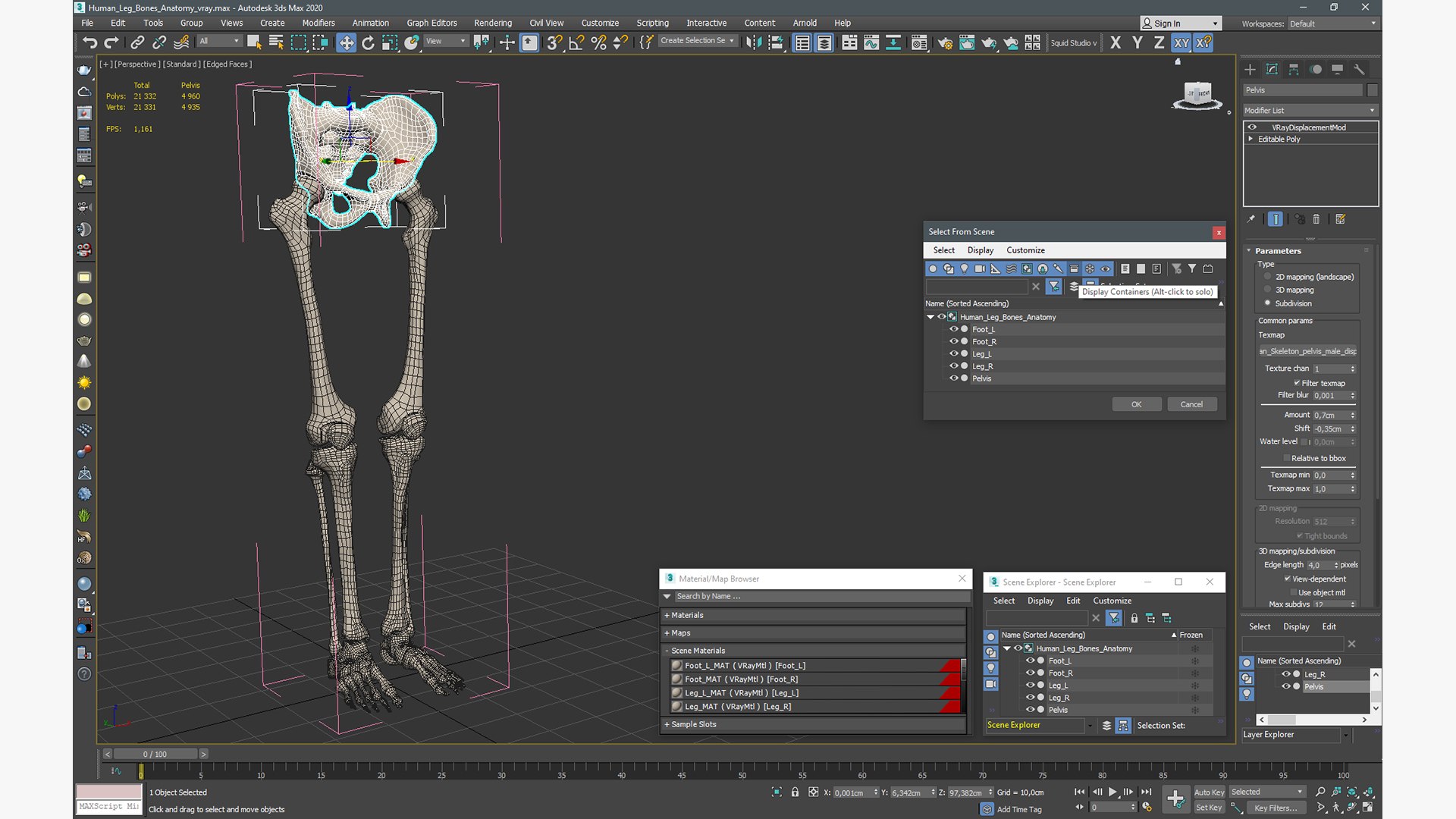 Human Leg Bones Anatomy Model - TurboSquid 2386677