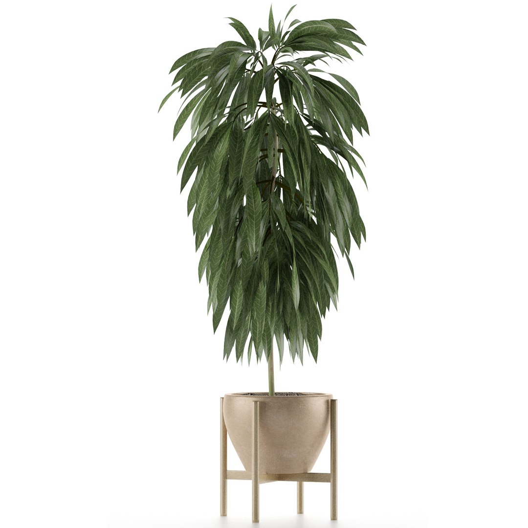 3D Single Plant 13 Model - TurboSquid 1586392