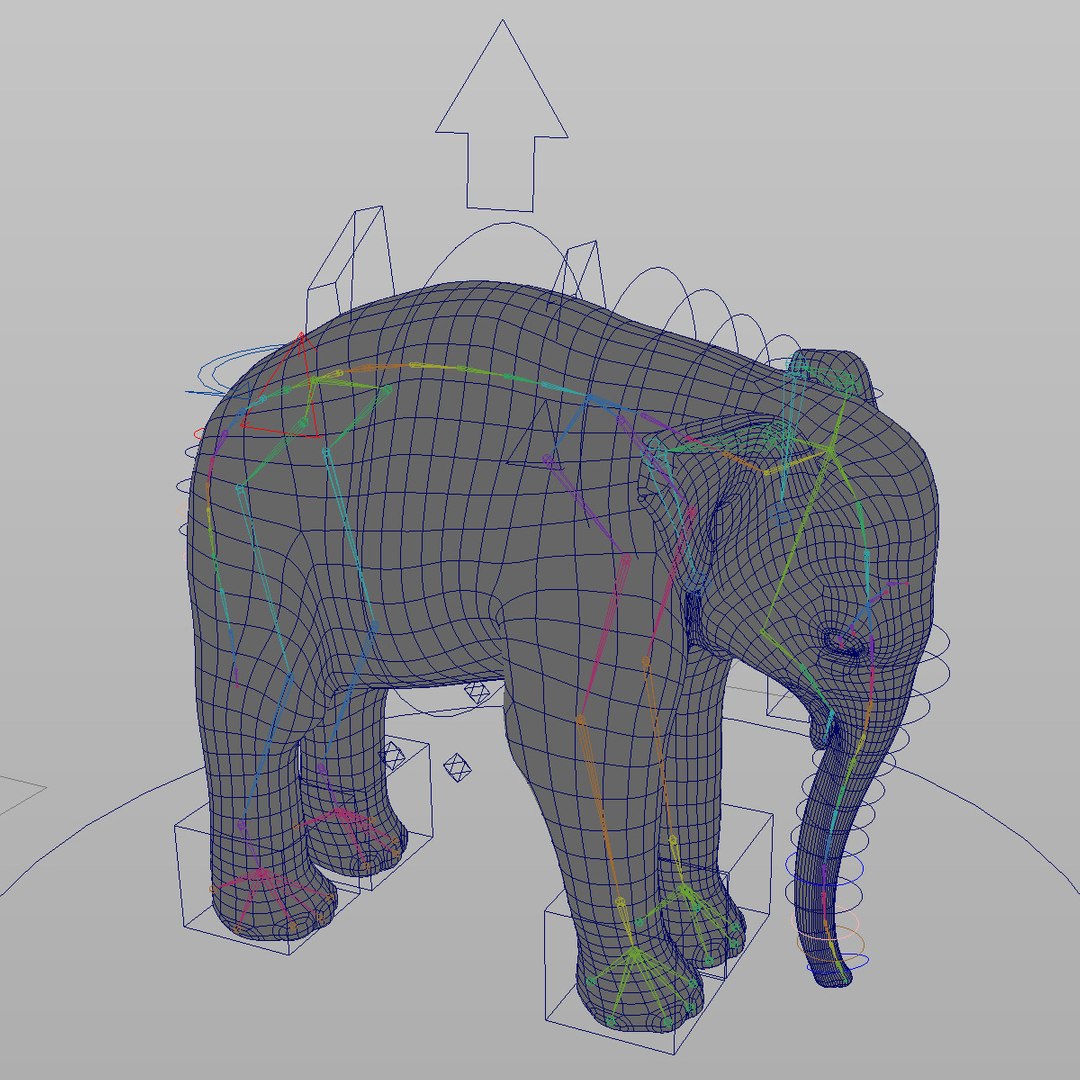 Maya Photorealistic Baby Elephant Animation