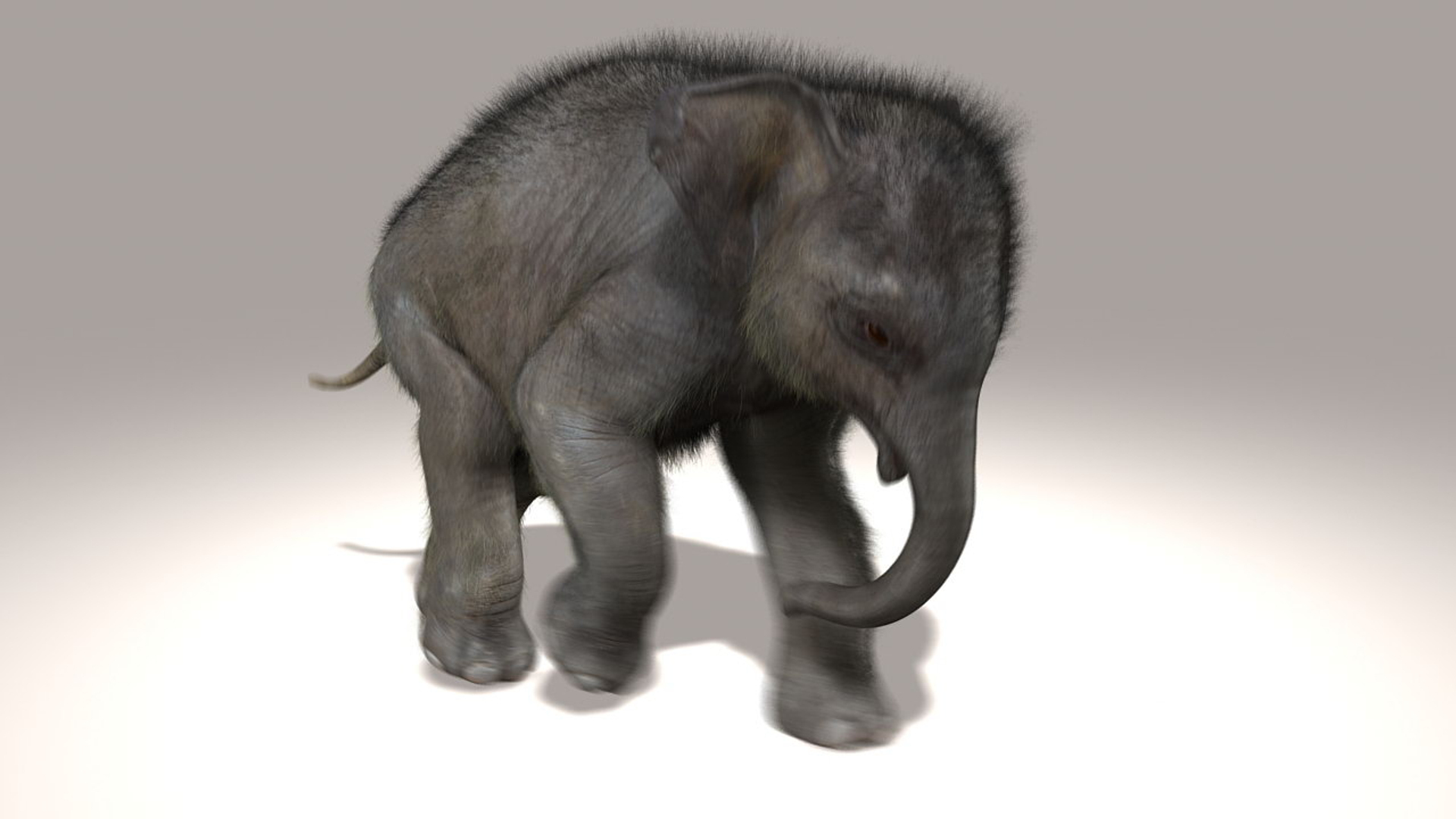 Maya Photorealistic Baby Elephant Animation
