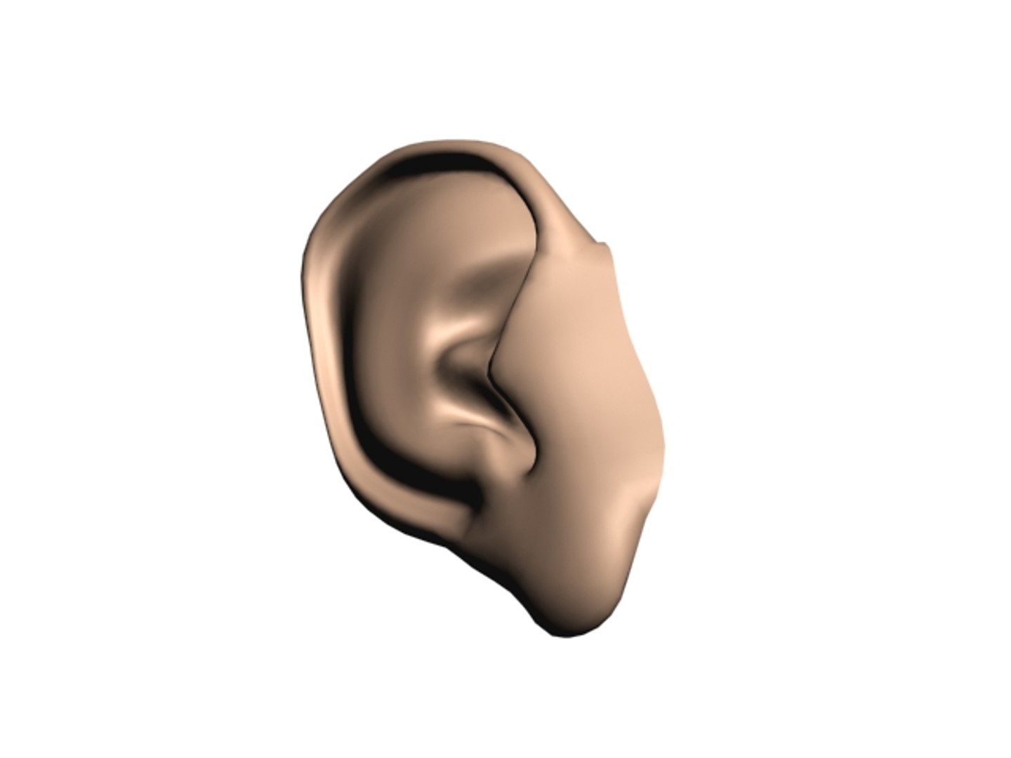 Free Ear 3d Model